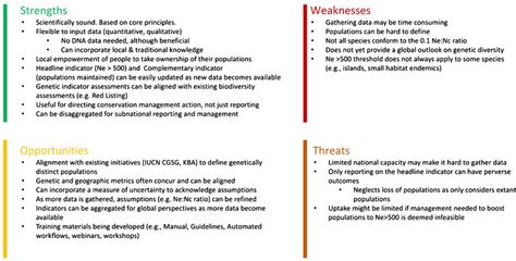 SWOT Strengths Weaknesses Opportunities Threats Analysis Summarizing