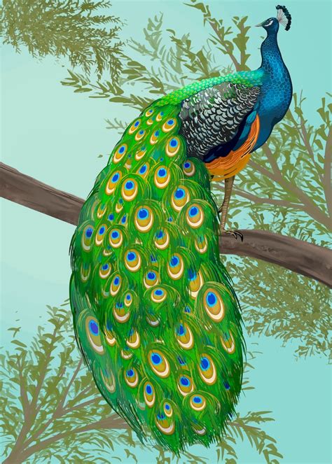 Peacock Clip Art Images Free Download On Freepik