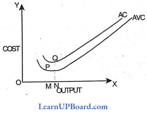 CA Foundation Economics Theory Of Cost Multiple Choice Questions Learn UP Board