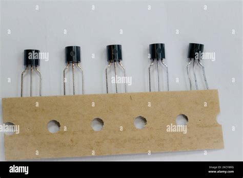 Row Of Electronic Transistors Isolated On A White Background With Copy Space 3 Pin Transistors