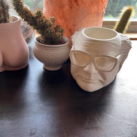 Danny Devito Planter Frank Reynolds 3d Printed Pla Succulent Pot Etsy Uk