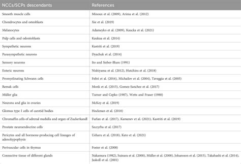 Frontiers Neural Crest And Sons Role Of Neural Crest Cells And Schwann Cell Precursors In