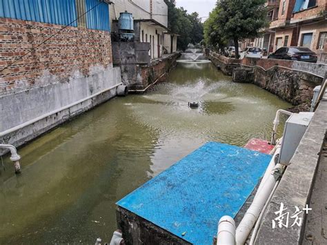 组合拳治水！三水西南洲边四村涌黑臭水体整治通过验收 房产资讯 房天下