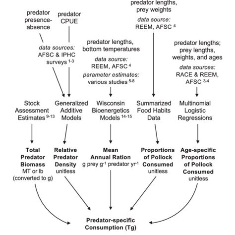 conceptual diagram of workflow data sources and analytical methods