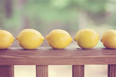 Java Treeset Explained With Examples Cats In Code