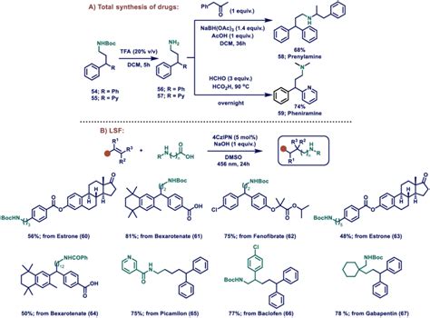 Scheme 2 A Total Synthesis Of Pharmaceuticals And B Late Stage