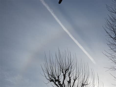 幻日（ハロ）と飛行機雲 By Nebuko （id：11272365） 写真共有サイトphotohito