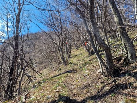 Връх Соколица забравеният връх Love Velingrad