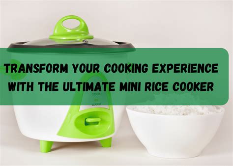 Best Mini Rice Cooker