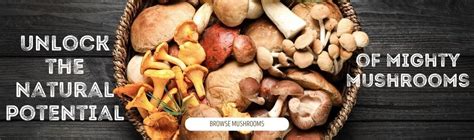 Buy Wholefoods Online Whole Foods Uk Organic Foods Health Foods