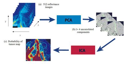 Ica Pca Analysis Process On The Reflectance Images 224 Solving