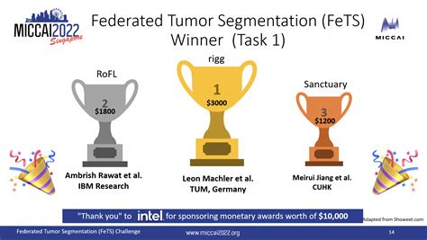 2nd position in federated tumour segmentation challenge more