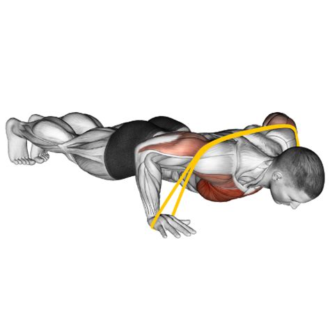 Wide Push Up 2025 Video Guide For The Best Results