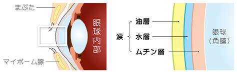 ドライアイの症状や治療のことは枚方市の南眼科まで