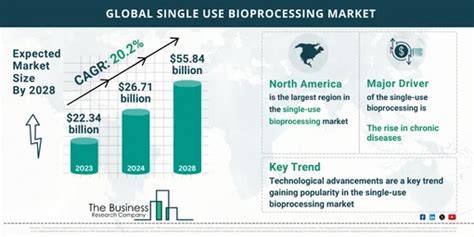 Single Use Bioprocessing Market Outlook Trends Analysis Report To 2033