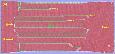 A Basal Stacking Faults Sfs Colored In Green Are Being Generated