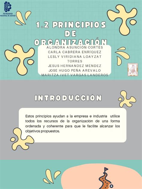 12 Principios De Organización Pdf