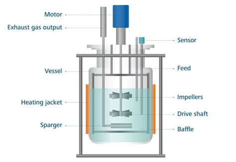 Ika Bioreactors In Bioprocessing And How They Work