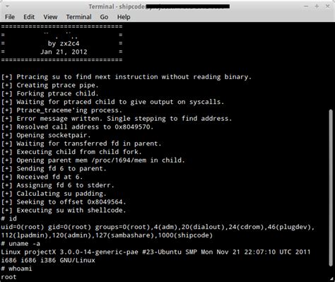 6 Cpanel Tips For Absolute Linux Hosting Newbies Linuxaria