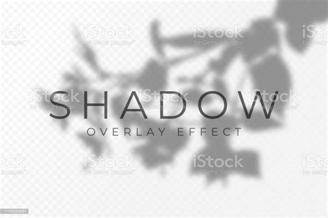 그림자 오버레이 효과 식물 가지 잎과 단풍에서 투명 한 부드러운 빛과 그림자 투명 한 그림자 오버레이 효과 와 자연 번개의 모형