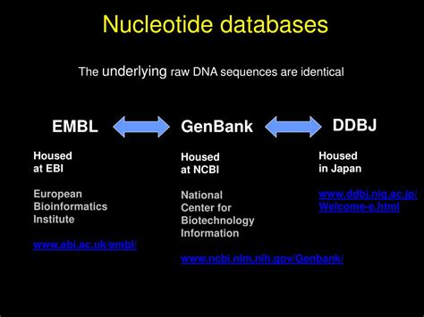 PPT Genome Related Biological Databases PowerPoint Presentation Free Download ID
