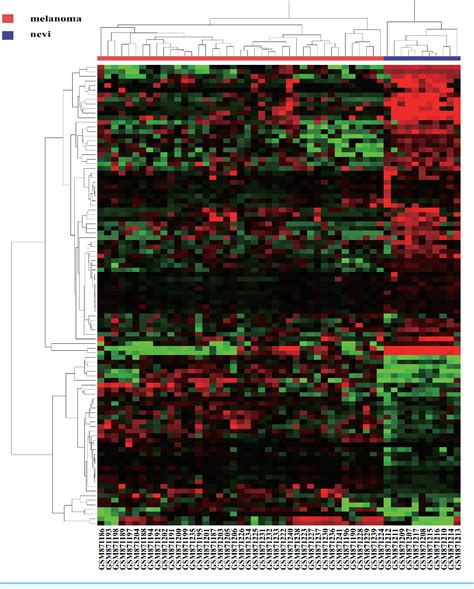 Figure 2 From Identification Of A Five Mirna Signature Predicting