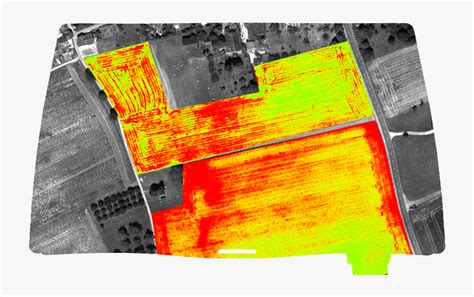 Transparent Camera Overlay Png Graphic Design Png Download Transparent Png Image PNGitem