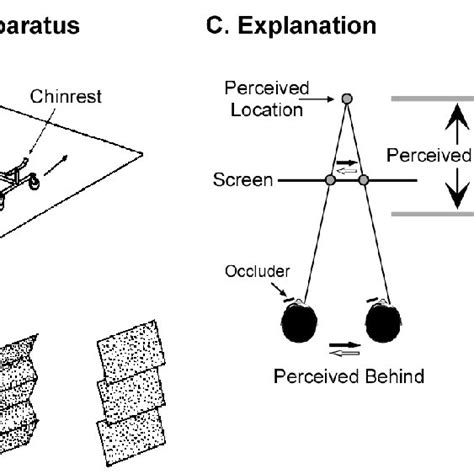 pdf depth and motion perceptions produced by motion parallax