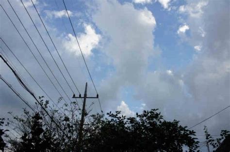 구리스건 구리스 주입기 네이버 블로그