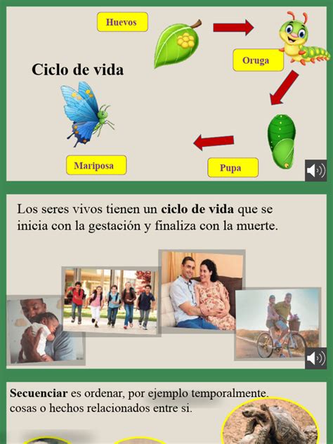 Ciclo De Vida Pdf