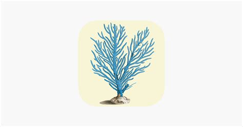 ‎beta Oxidation Pathway Tutor On The App Store