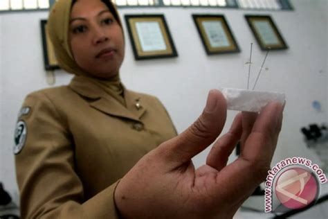 Vaksin Malaria Belum Masuk Kegiatan Dalam Tanah Air Jakartainsidecom