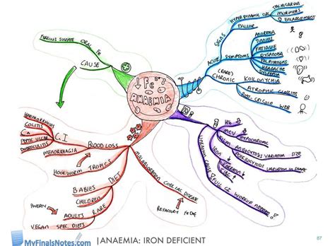 Leukemia Concept Map