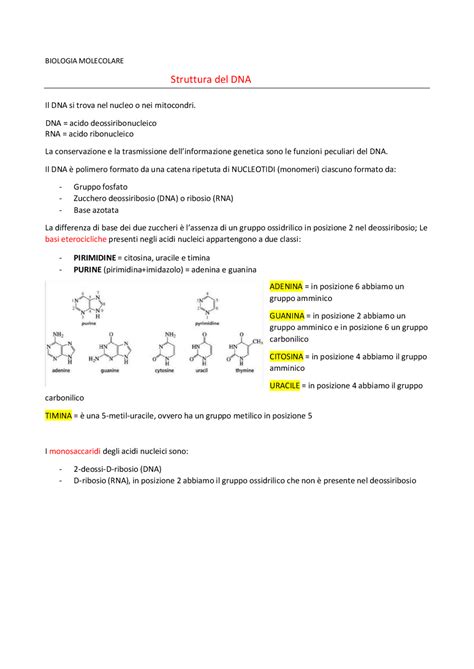 Appunti Di Biologia Molecolare Unite Appunti Di Biologia Molecolare