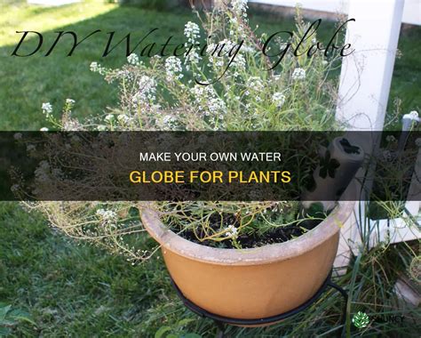 How To Make A Diy Water Globe For Plants Shuncy