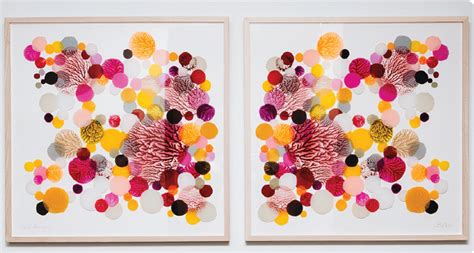 Gallery 6s First Exhibition Double Up By Artist Alexandra Weston Qt