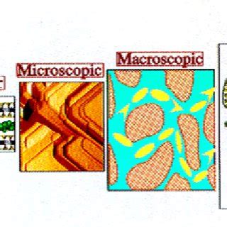 Illustration Of The Various Spatial Scales That Soil Scientists Are Download Scientific Diagram