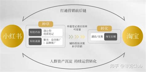 小红星开启0门槛时代！小红书roi太好算了！ 知乎