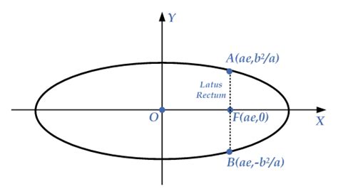 Length Of The Latus Rectum Of An Ellipse Emathzone
