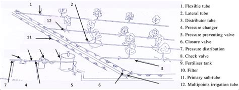 Fertigation Basic Components Download Scientific Diagram