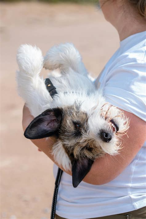 Flickrbeachgirls Photos Download The Best Free Flickrbeachgirls