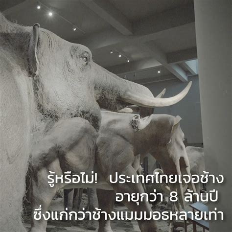 รู้หรือไม่ นิตยสารอนุรักษ์ Anurak Magazine