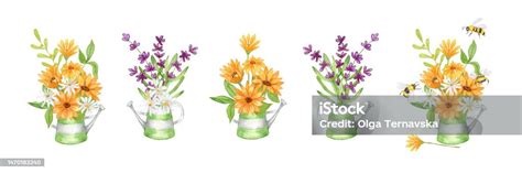 수채화 세트 라벤더 클립 아트입니다 금속 물을 수있는 라벤더 꽃다발 라벤더와 카모마일 꽃 해바라기 데이지와 꿀벌의 구성 손 그림 꽃 식물에 대한 스톡 벡터 아트 및 기타