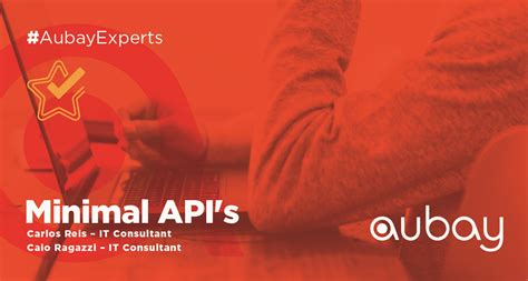 minimal api s