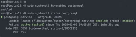 C Mo Instalar Zabbix En Un Servidor Debian Howtoforge