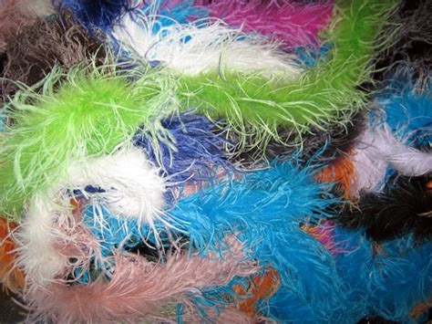 Piume Gennaro Gori Spa