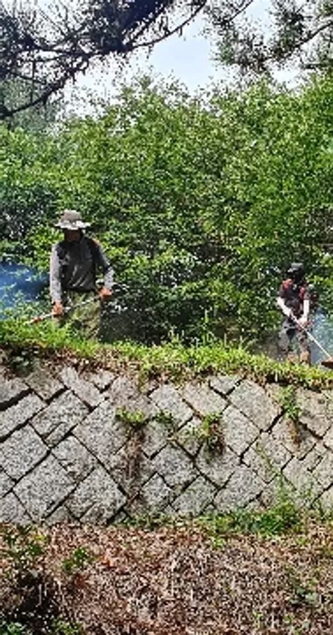 이영희 고수의 벌초예초 서비스 경상북도 청도군 숨고 숨은고수