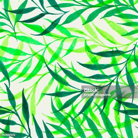 明るい灰色の色で描かれた淡い緑と濃い緑色の熱帯植物 イラストレーションのベクターアート素材や画像を多数ご用意 イラストレーション