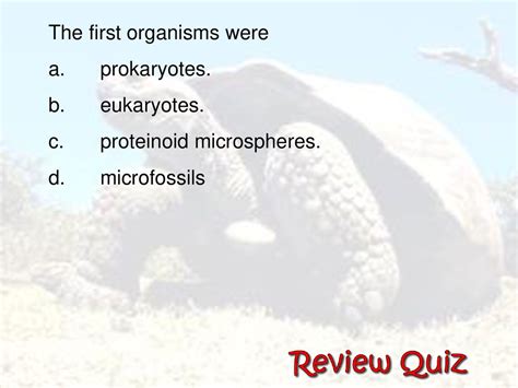 Unit 2 Chapter 14 The History Of Life Ppt Download Unit 2 Chapter 14 The History Of Life Ppt Download