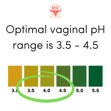 Easy Guide To Testing Vaginal Ph At Home